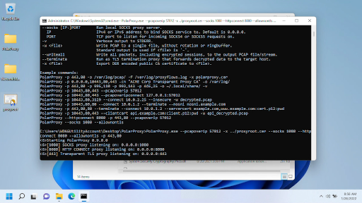 PolarProxy in Windows Sandbox